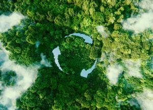 The Company – DataVolt