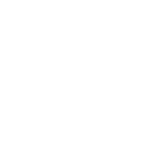 DataVolt – Sustainable Data Center Operator